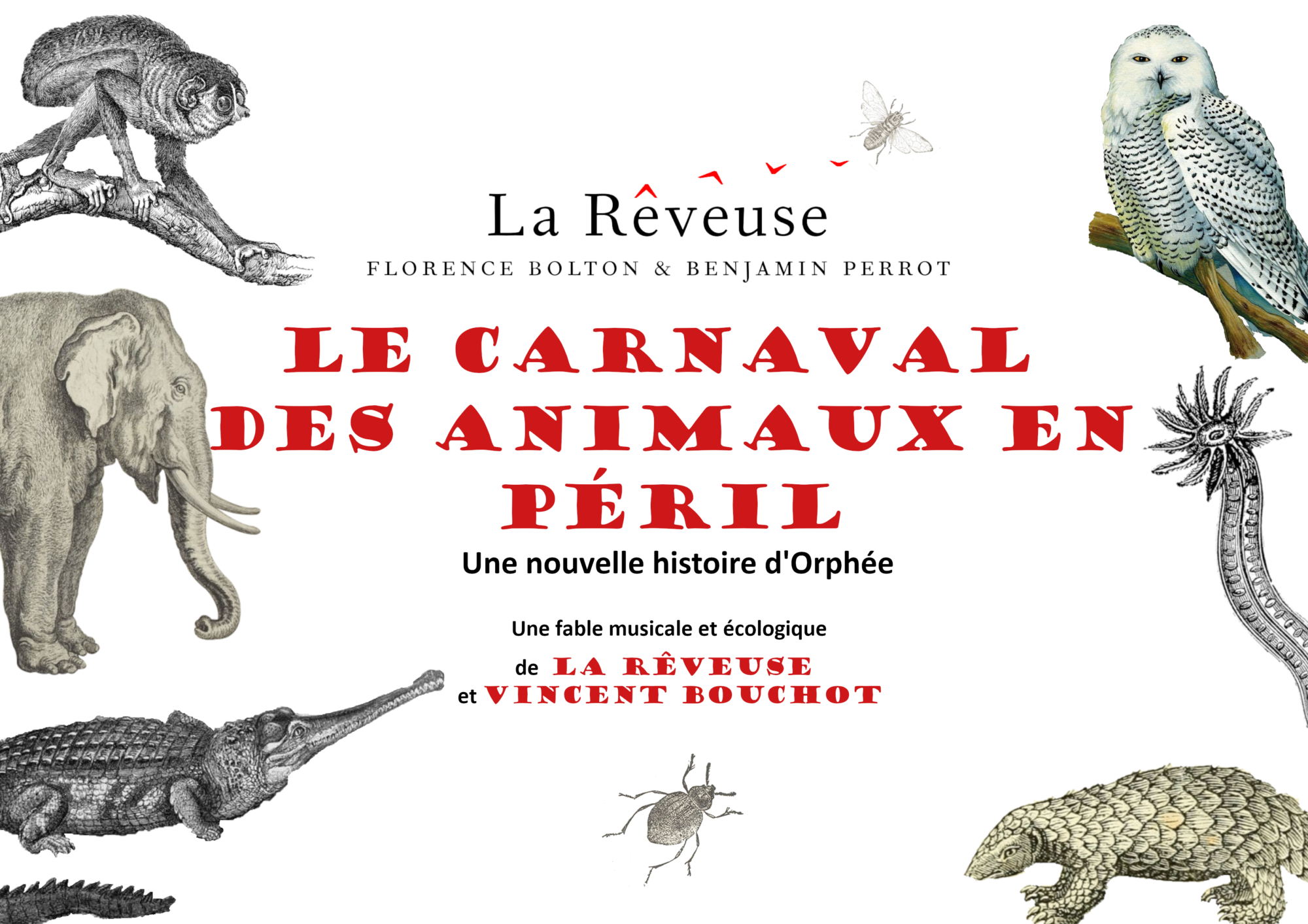 Ensemble La Rêveuse | Le Carnaval des animaux en péril